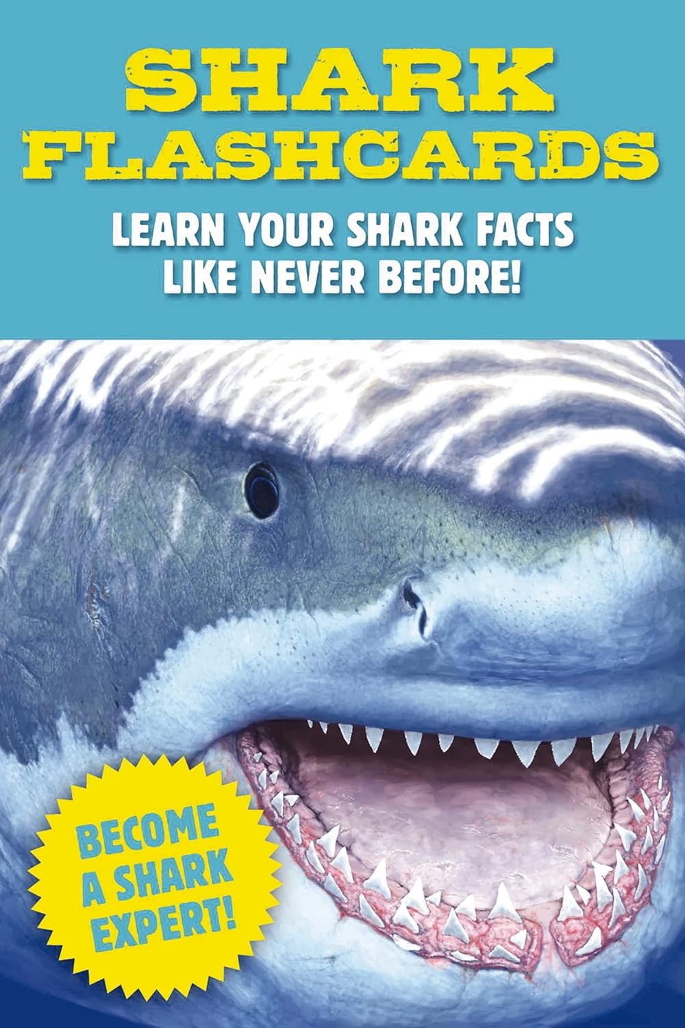 Shark Flashcards – Palms